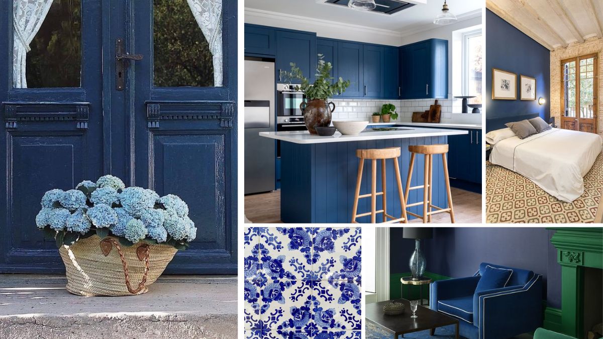 Azul cobalto, el color que aporta vitalidad y belleza a cualquier ...