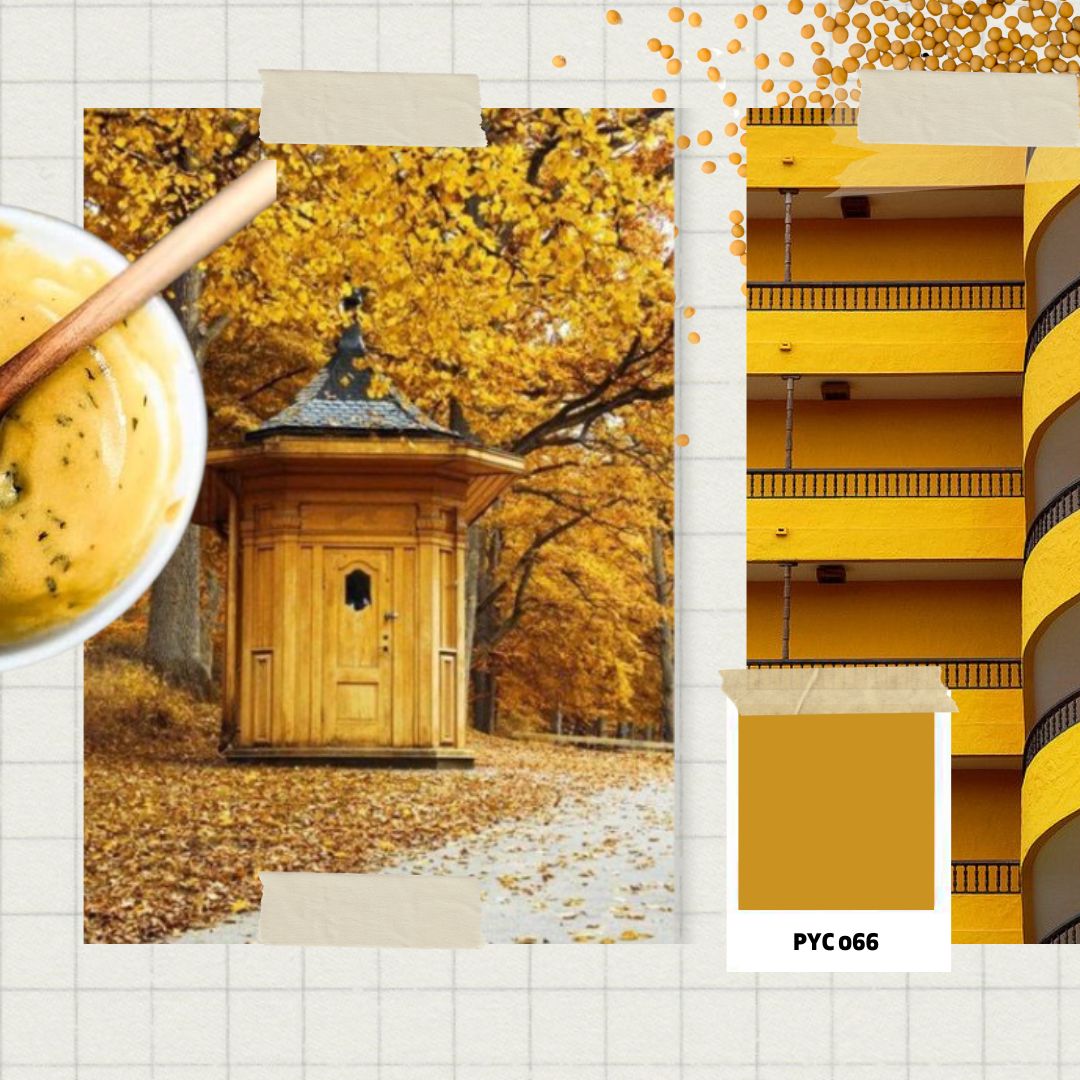 Color amarillo mostaza, la tonalidad que abre la puerta al otoño • Isaval