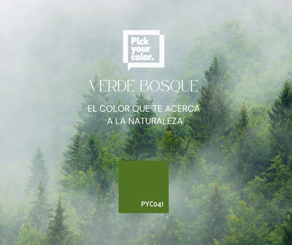 Verde bosque, el color que acerca la naturaleza • Isaval