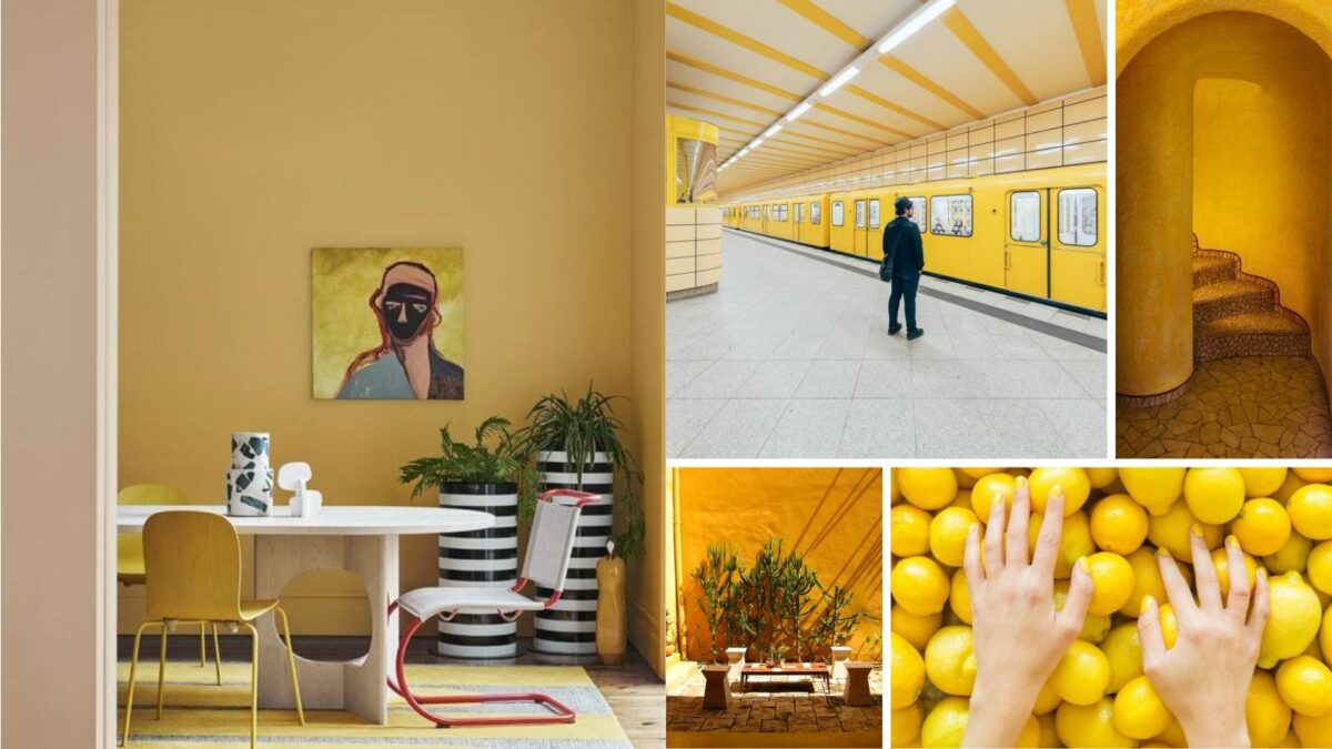 Quercitrón, el color amarillo que sugiere la naturaleza • Isaval